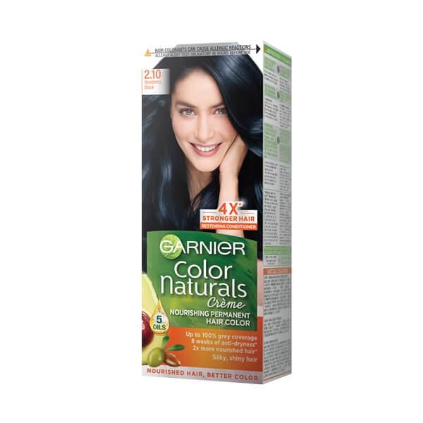 Garnier Color Naturals farba za kosu 2.10