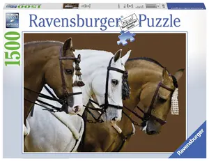 Ravensburger Ravensburger puzzle 1500 delova - Konji (16339)