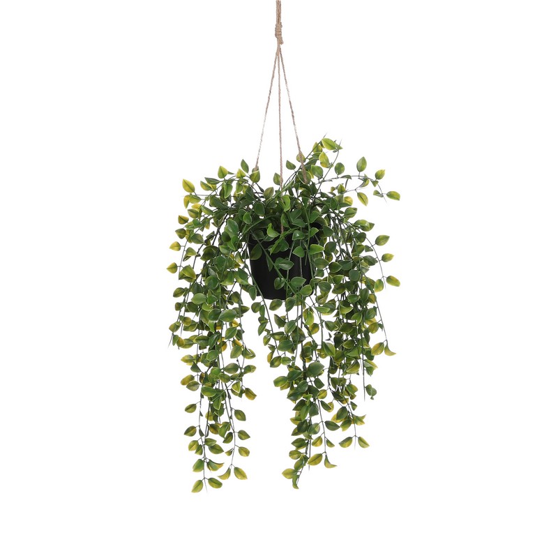 Cvet u saksiji FICUS 46cm 1097781 - Green - EDL