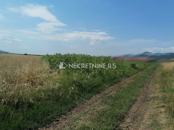 Plac u industrijskoj zoni sa Informacijom o lokaciji, Čamurlijski put, 8189m2