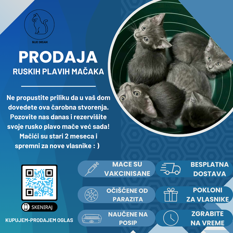 Ruske Plave Macke – BlueDream – BESPLATNA DOSTAVA