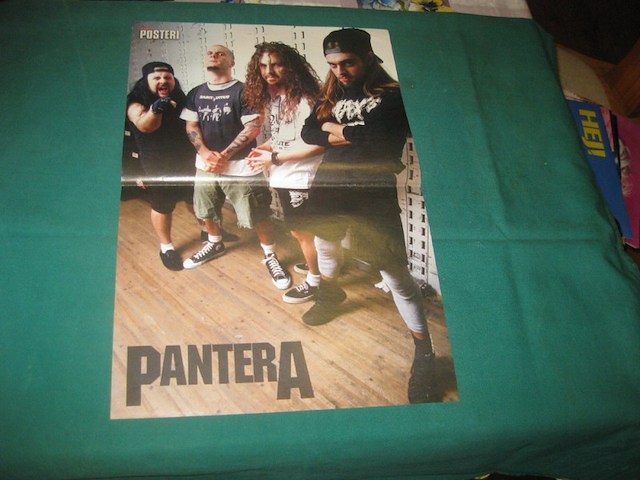 Poster (dvostrani) Pantera, Glee