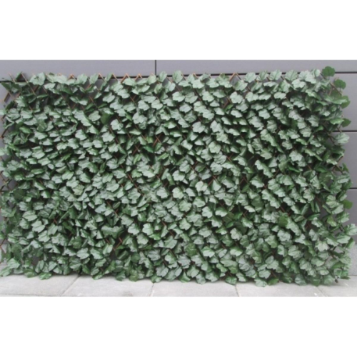 Dekorativna ograda harmonika Ivy, tamno zelena, 1x2m