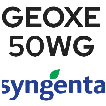 Fungicid Geoxe 50 WG 5L