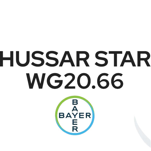 Herbicid Hussar Star WG20.66 250g
