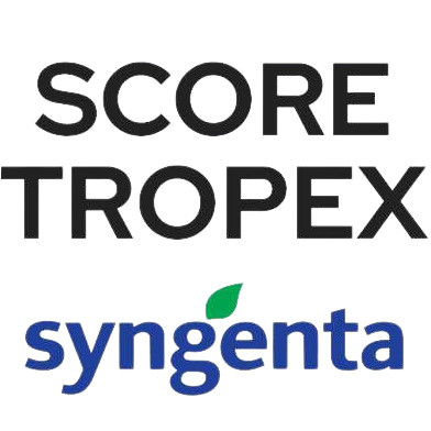 Fungicid Score Toprex 1L