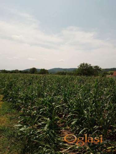 Plac 1800m2, Čerevič, potez Njive