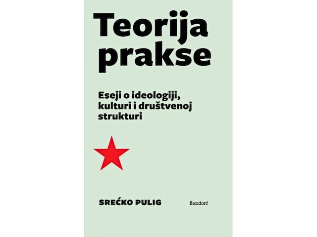 Teorija prakse - Srećko Pulig