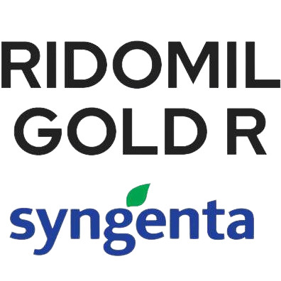 Fungicid Ridomil Gold R 1L