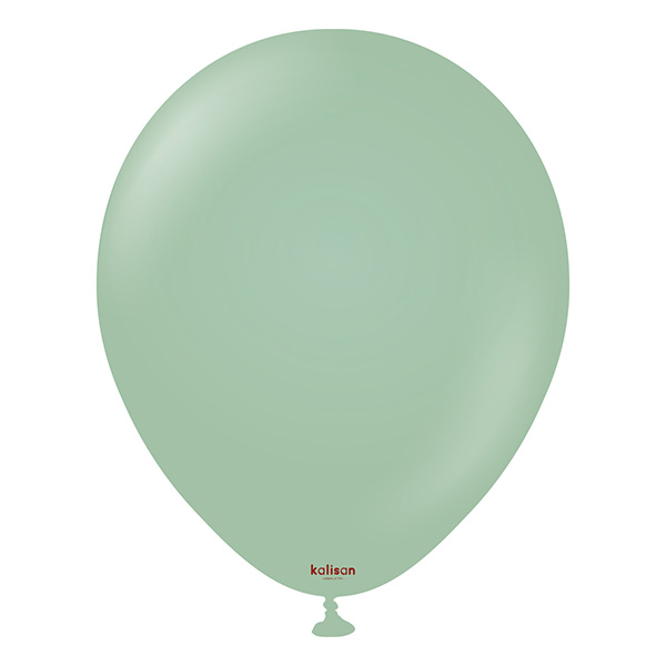 10580071
5″ Latex Retro Winter Green (10)