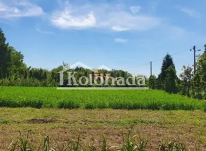 Prodaja Građevinsko zemljište - Sopot, Popović