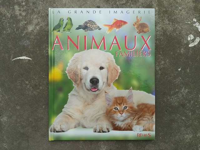 ANIMAUX FAMILIERS