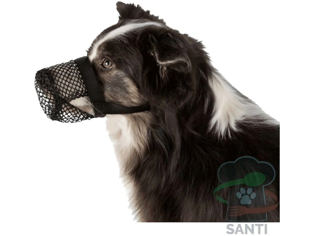 Trixie Korpa za pse za zaštitu od otrova