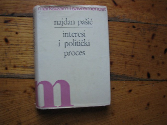 NAJDAN PAŠIĆ - INTERESI I POLITIČKI PROCES