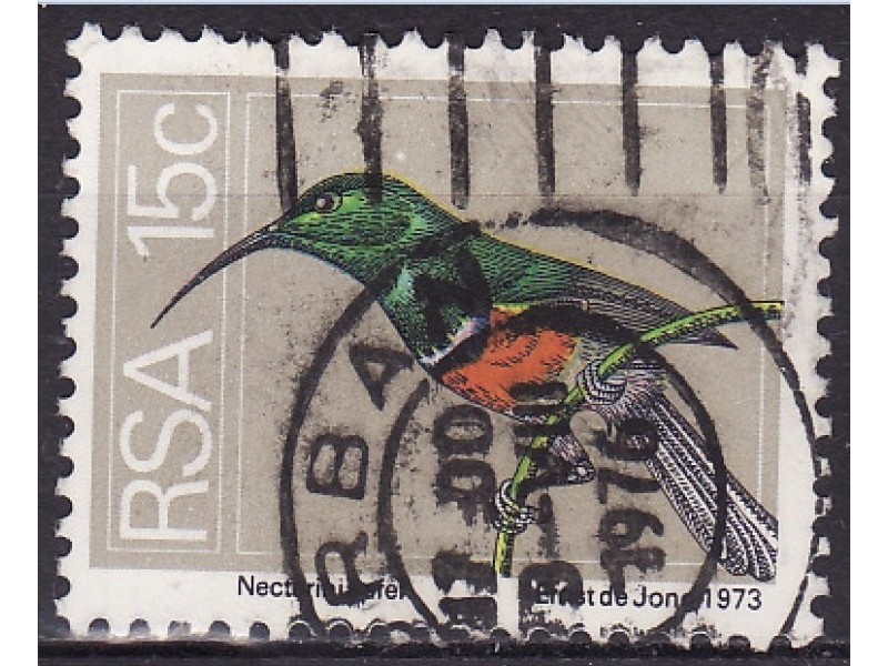 Južna Afrika - ptice
