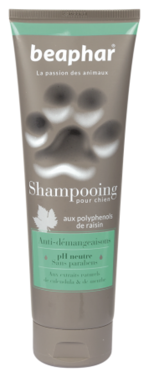 Beaphar Shampoo premium anti-itch dog - Premium šampon za pse sa osetljivom kožom 250ml