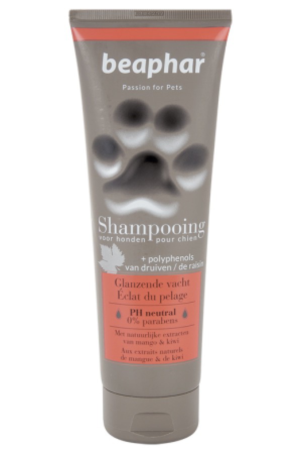 Beaphar Shampoo premium shiny coat dog - Premium šampon za pse sa dugom sjajnom dlakom 250ml