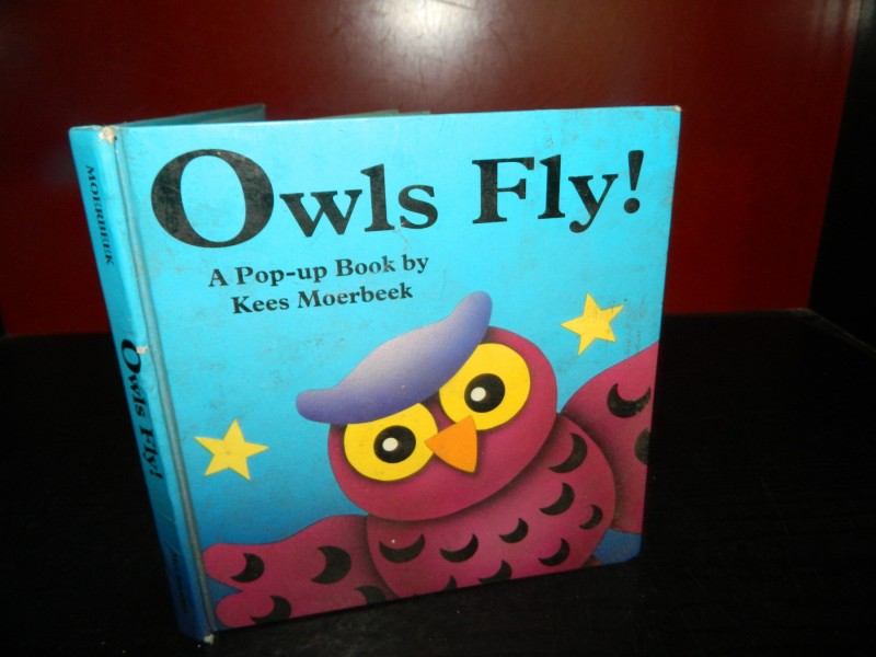 Owls Fly - pop up book