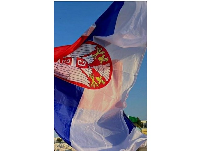 Zastava Srbije, 90 (100) x 60