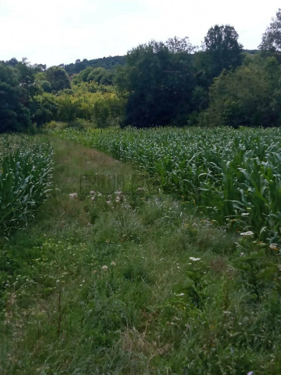 Plac, Desimirovac kod Kragujevca- površina 5000 m2, poljoprivredno zemljište