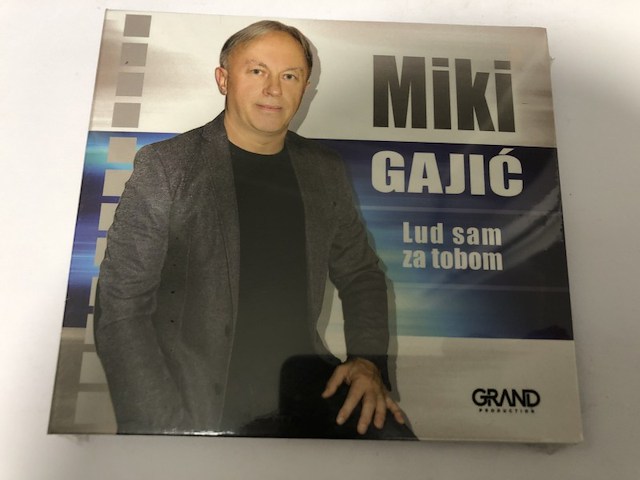 Miki Gajić - Lud Sam Za Tobom