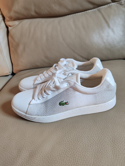 Lacoste patike 37