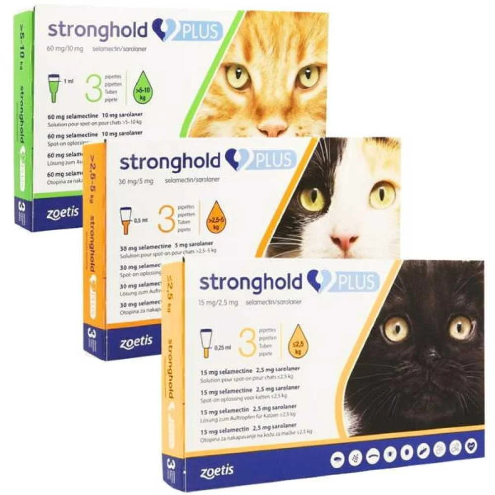 Stronghold Plus preparat za mačke