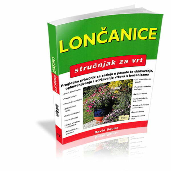 Lončanice – David Squire