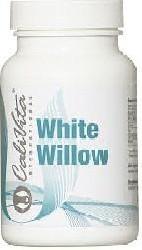 White Willow, 100 kaps