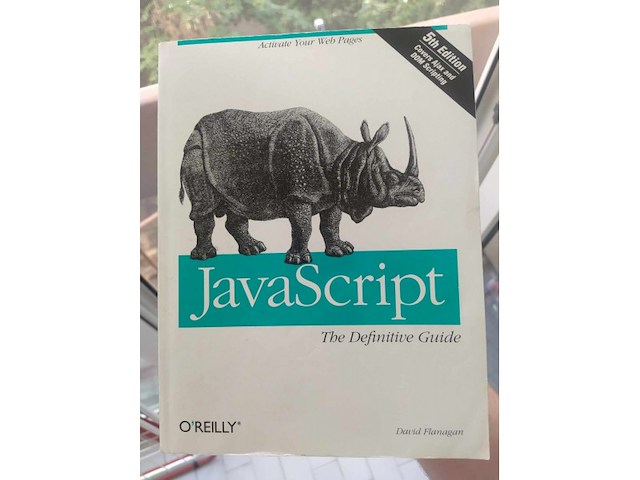 JavaScript The Definitive Guide Fifth Edition (na engl)