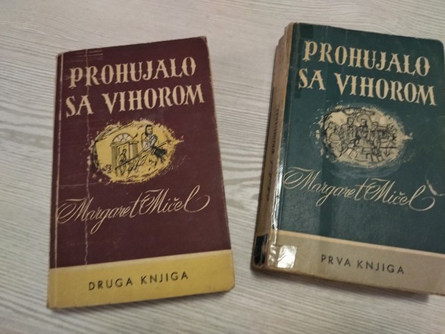 Prohujalo sa vihorom - Margaret Micel