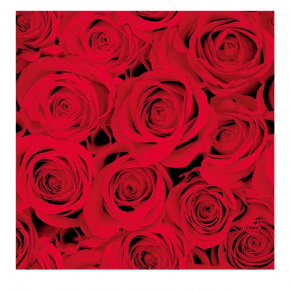 SALVETE RED ROSES