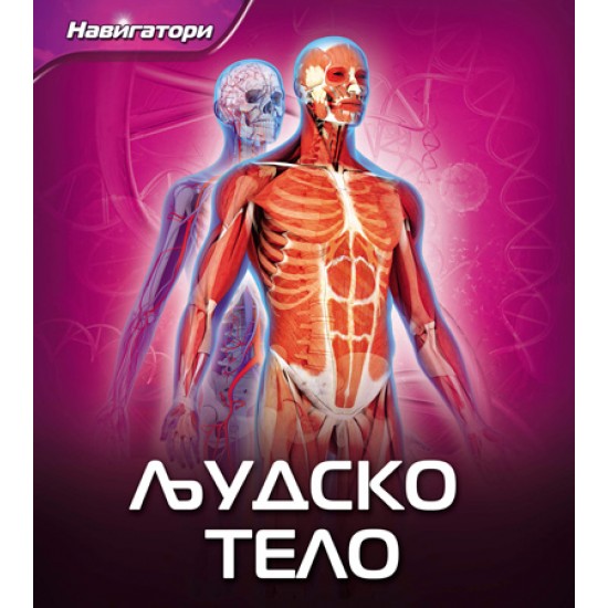 Ljudsko telo