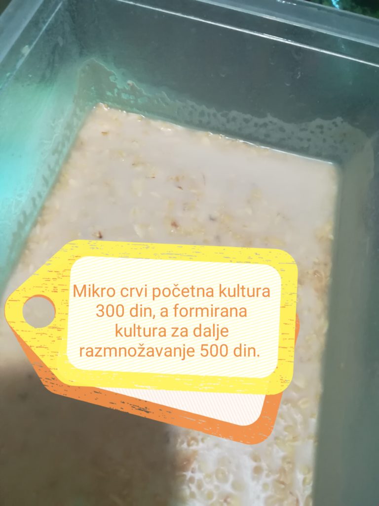 Mikro crvi