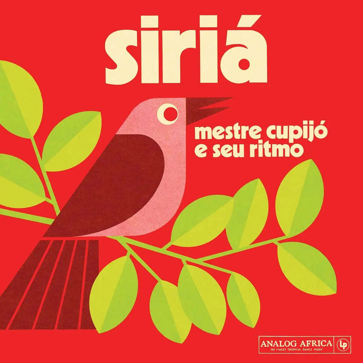 MESTRE CUPIJO - Siriá