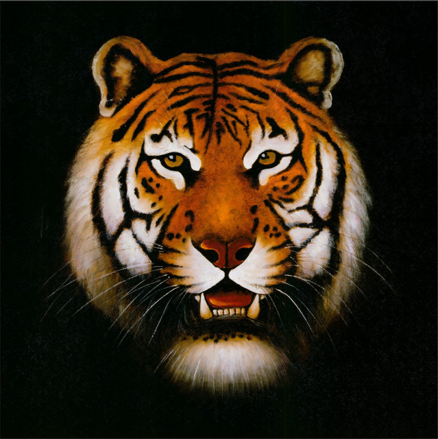 Tigar, uramljena slika 70x70cm