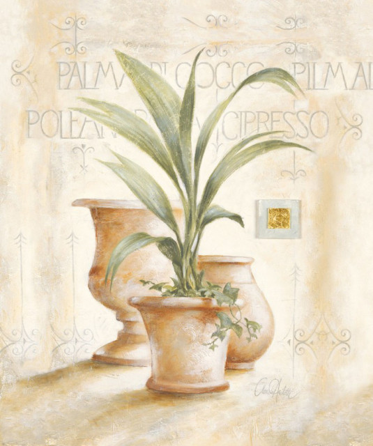 Palma di cocco, uramljena slika 50x60cm