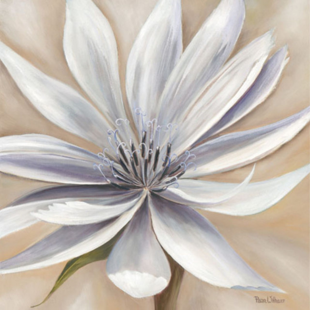 White flower 1, uramljena slika dimenzije 70x70cm