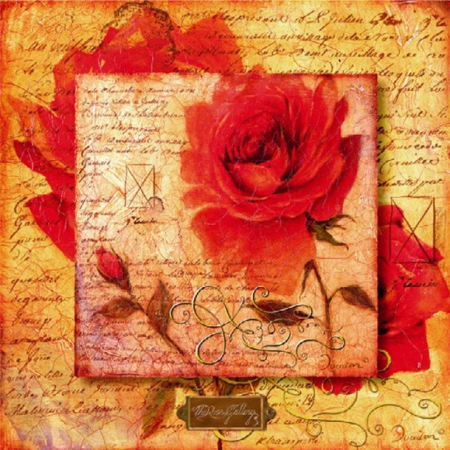 Romantic rose, uramljena slika 50x50cm