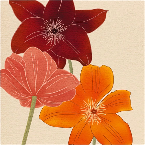 Šareni cvetovi, uramljena slika 50x50cm
