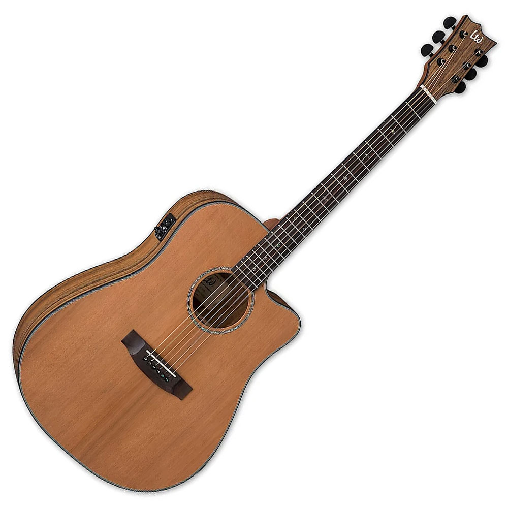 LTD D-320E NS akustična gitara