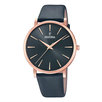 Sat Festina F20373/2