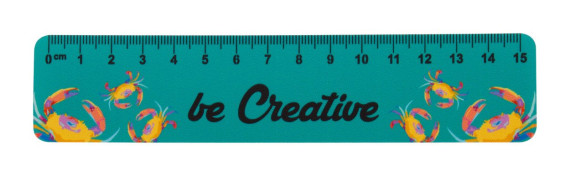 DRAWY 15 CUSTOM RULER, 15 CM