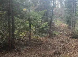 Prodaja Ostale nekretnine - Bajina Basta, Zaovine