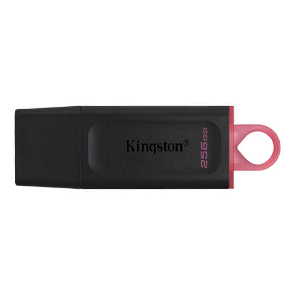 USB Flash Kingston 256GB DataTraveler Exodia USB 3.2, DTX/256GB