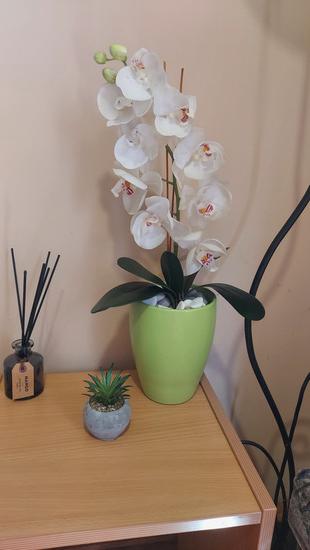 Orhideja veštačka