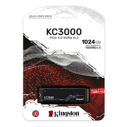 Kingston SKC3000S/1024G