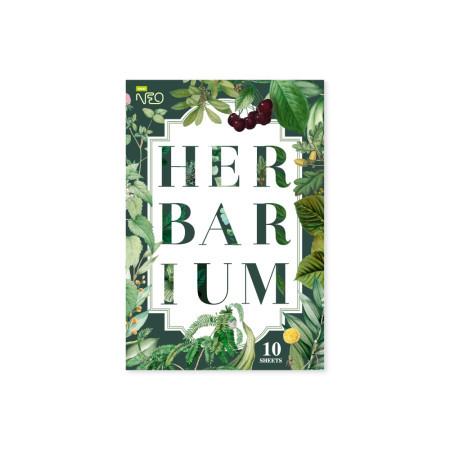 Plant, herbarijum, 10 lista ( 106115 )