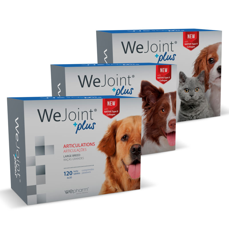 WeJoint Plus podrška zglobovima