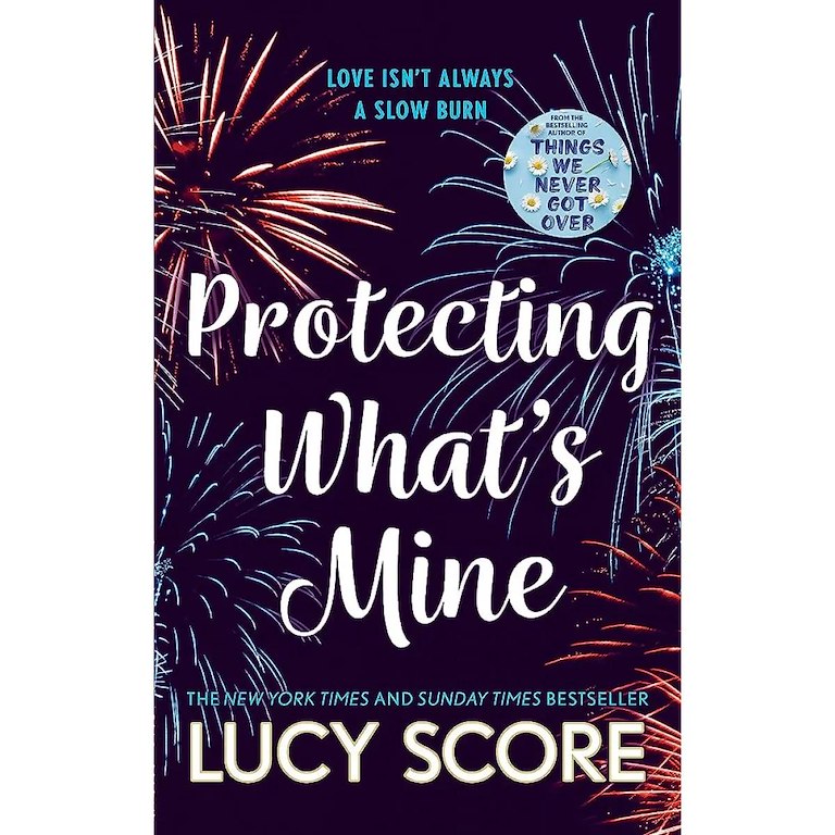 PROTECTING WHATS MINE, book 3